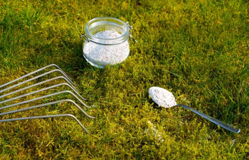 Improve Soil & Grass Health - The Benefits of Liming Your Lawn